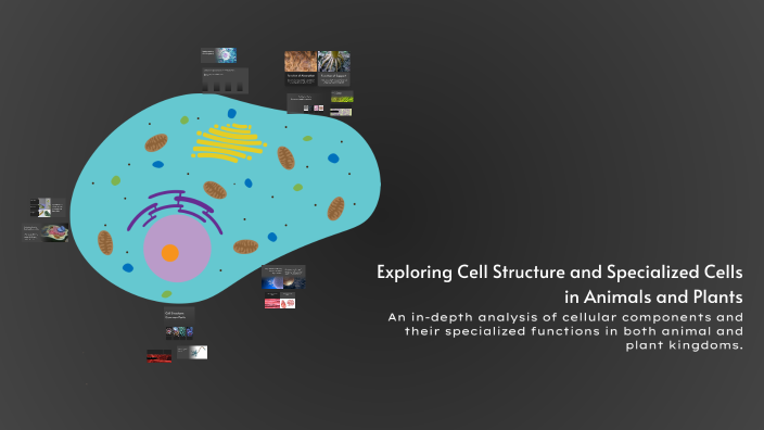Exploring Cell Structure and Specialized Cells in Animals and Plants by ...