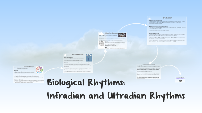 Biological Rhythms: Infradian & Ultradian Rhythms by Lucy Tickle on Prezi
