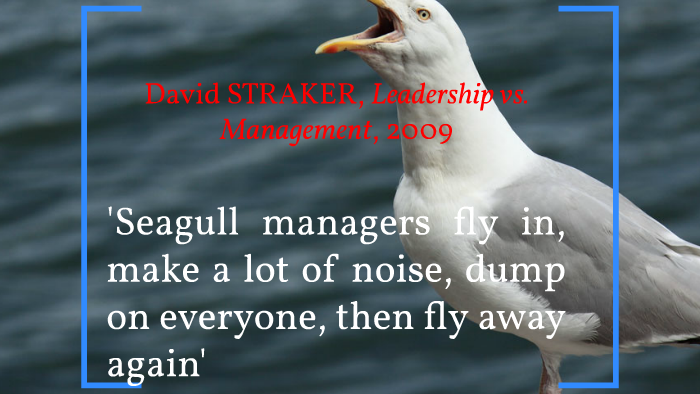 Seagull Management by Cédric Druais on Prezi