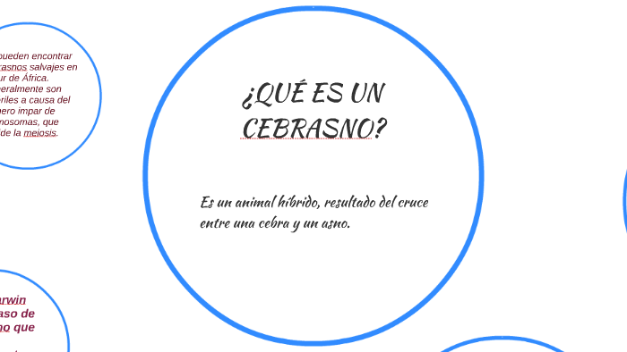 ¿QUÉ ES UN CEBRASNO? by Pao Cruz D on Prezi