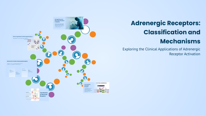 Adrenergic Receptors: Classification and Mechanisms by Anamika Kumari ...