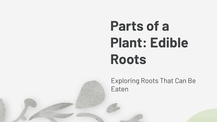 Parts of a Plant: Edible Roots by Kerrion Clarke on Prezi