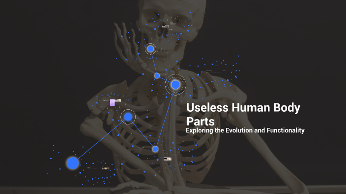 Useless Human Body Parts by Isabel Gamez on Prezi
