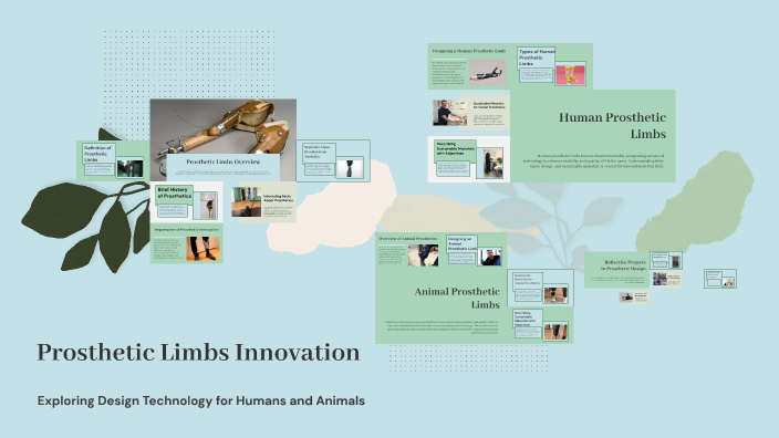 Prosthetic Limbs Innovation by Emma Perry-Joyce on Prezi