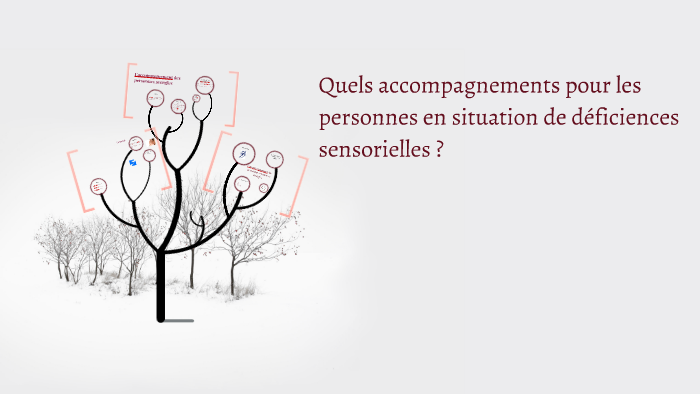 Déficiences sensorielles by Mazarine Coulon on Prezi