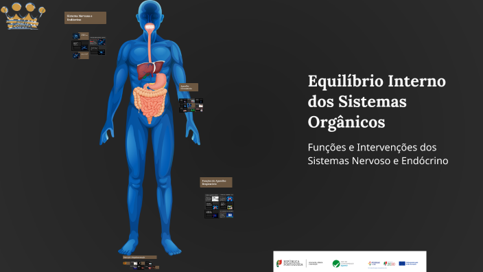 Equilíbrio Interno dos Sistemas Orgânicos by André Pereira on Prezi