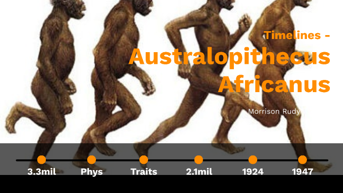 Timelines - Australopithecus Africanus by Morrison Rudy on Prezi