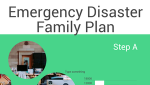 Emergency Disaster Family Plan by Cristina Dominguez on Prezi Design