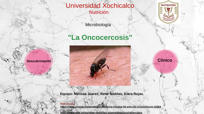 Oncocercosis by melissa juarez on Prezi