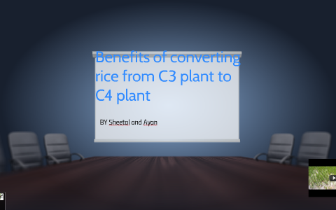 Benefits of converting rice from C3 plant to C4 plant by Ayan Artan on ...