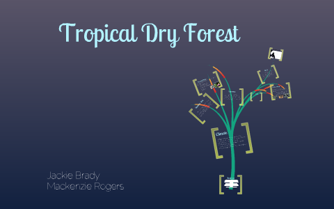 Tropical Dry Forest: Biome by Mackenzie Rogers on Prezi