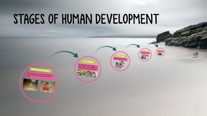 STAGES OF HUMAN DEVELOPMENT by Angelica Susa on Prezi