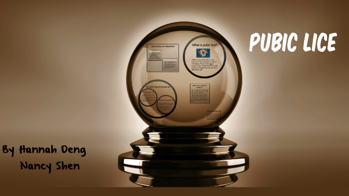 Pubic lice by Hannah Deng on Prezi