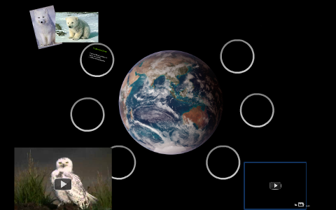 Biology Biome Research Project by Seth Brant on Prezi