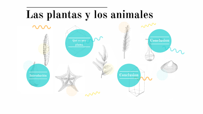 Las plantas y los animales by Maria Aranda on Prezi