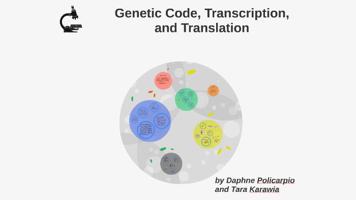 Genetic Code, Transcription, and Translation by daphne policarpio on Prezi
