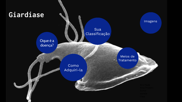 Giardíase by Enzo Frederick on Prezi