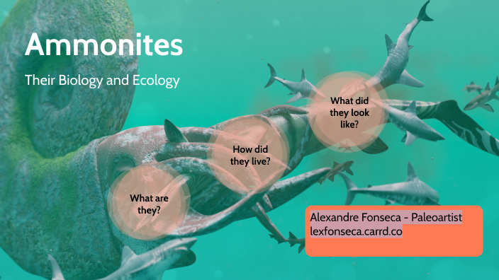 Ammonites: Their Biology and Ecology by Lex Fonseca on Prezi