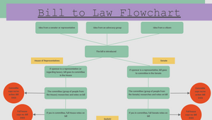 Bill to Law Flowchart by Nayereh Hosseini on Prezi Design