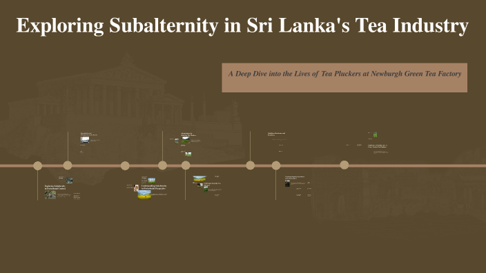 Exploring Subalternity in Sri Lanka's Tea Industry by Hansaja Banduge ...