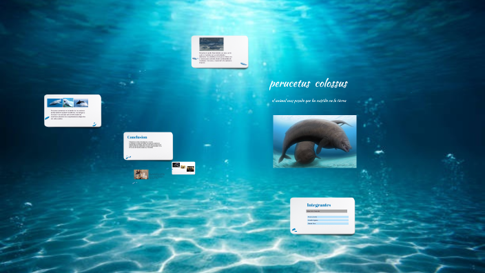 perucetus colossus by Martin Pino Ybarra on Prezi