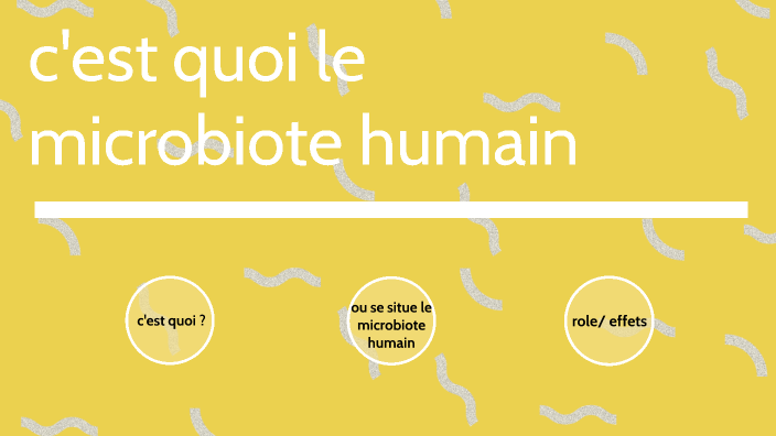le microbiote humain by Sevan Vue on Prezi