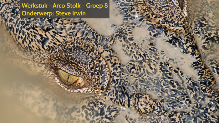 Arco_Steve_Irwin_2016 by Richard Stolk on Prezi