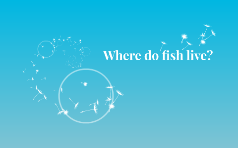 Where do fish live? by April Yu on Prezi