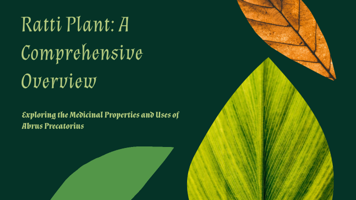 Ratti Plant: A Comprehensive Overview by Vaibhav kaushik on Prezi