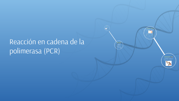 Reacción en cadena de la polimerasa (PCR) by Leire Almanza on Prezi