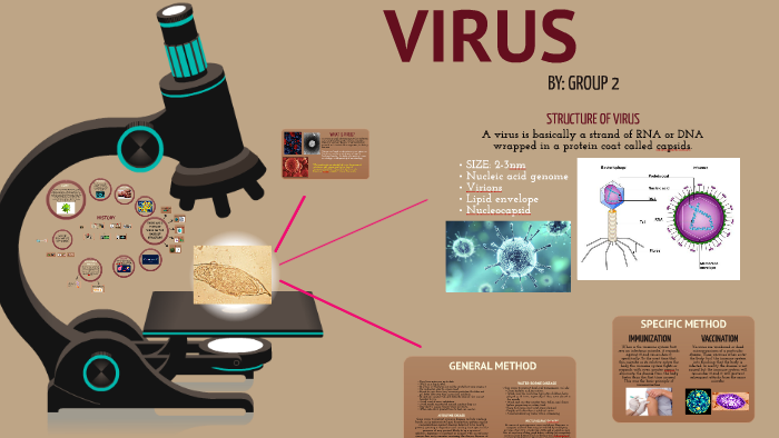 VIRUS by mohammad shaz on Prezi