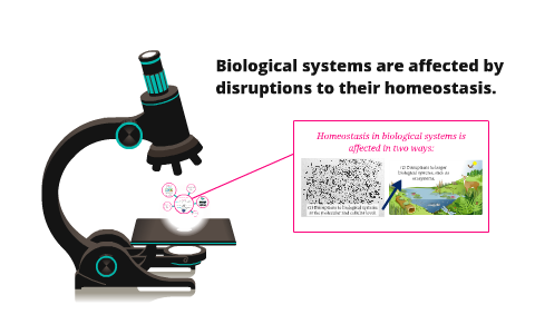 Biological systems are affected by disruptions to their home by Abigail ...