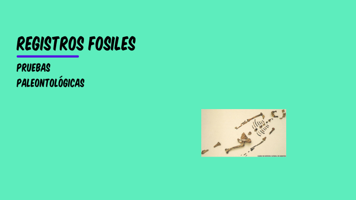 REGIDTROD FODILES by marlon Gonzalez on Prezi