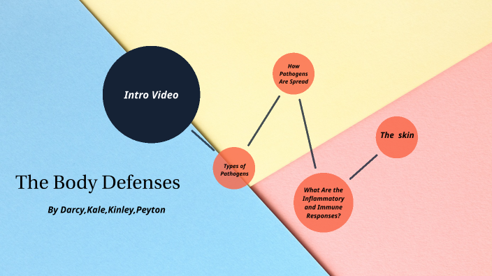 The Body's Defenses by Darcy Graves on Prezi