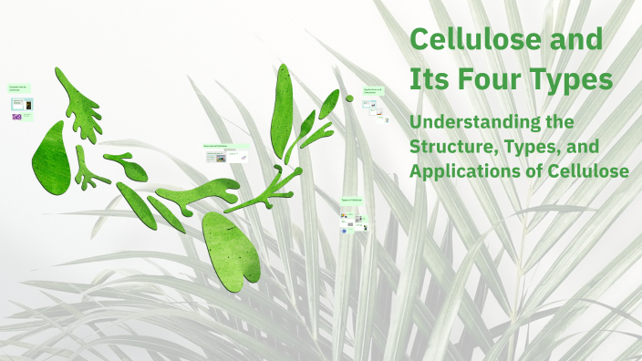 Cellulose and Its Four Types by tia qumsieh on Prezi