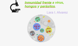 Respuesta inmune frente virus, hongos y parasitos by Lara Alvarez on Prezi