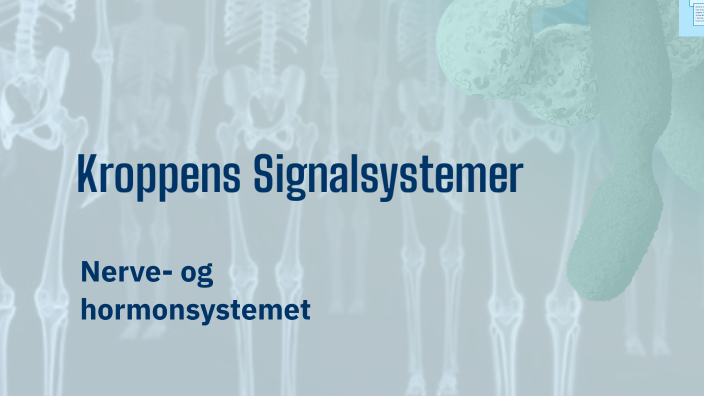 Kroppens Signalsystemer by Louis Sit on Prezi