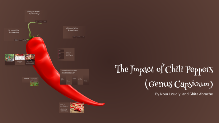The Impact of Chili Peppers on Global Change by nour lawdiyi on Prezi