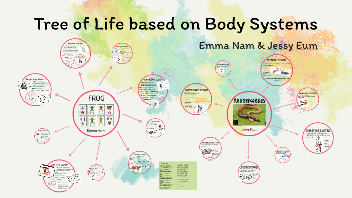 Tree of Life based on Body Systems by Emma Nam on Prezi