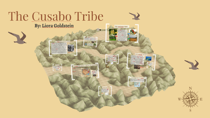 The Cusabo Tribe by mira gray on Prezi