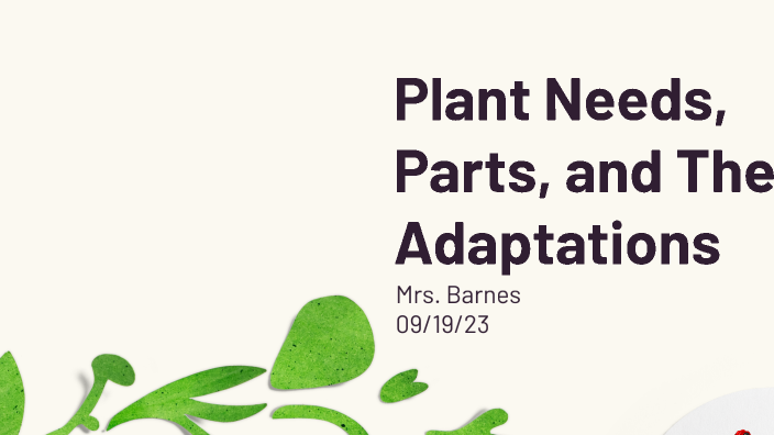 Plant Life and Adaptations by Felecia Barnes on Prezi