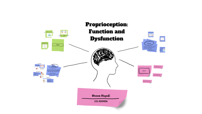 Proprioception: Function and Dysfunction by Wanna Magadi on Prezi