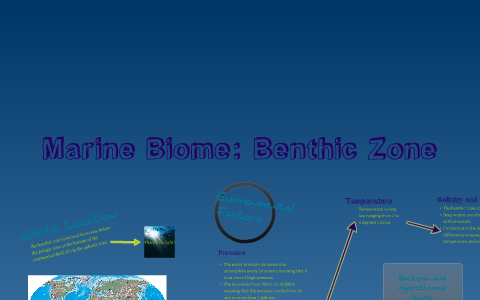 Marine Biome: Benthic Zone by Laura Bou on Prezi
