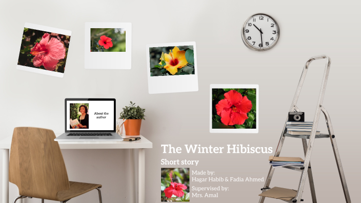 The Winter Hibiscus by hh hh on Prezi