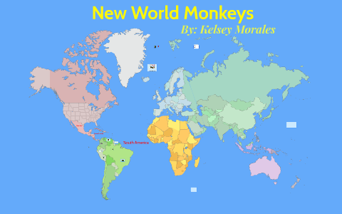 New World Monkeys by Kelsey Morales on Prezi