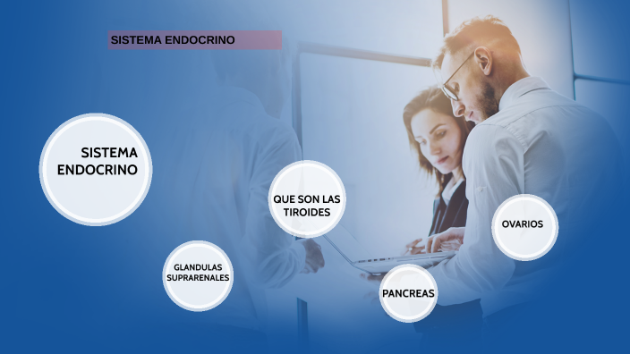 EL SISTEMA ENDOCRIMO by genesis fernandez on Prezi