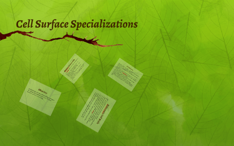 Cell Surface Specializations by Yvanne Joseph on Prezi