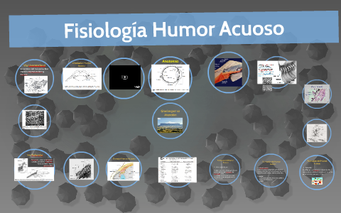 Fisiología Humor Acuoso by maritza quintero on Prezi