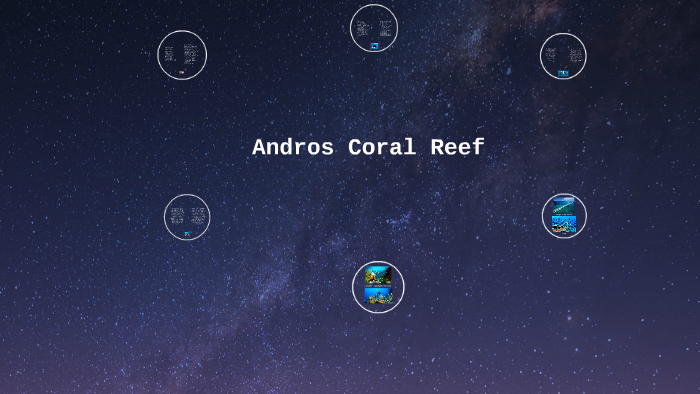Andros coral reef by Zoe B. on Prezi
