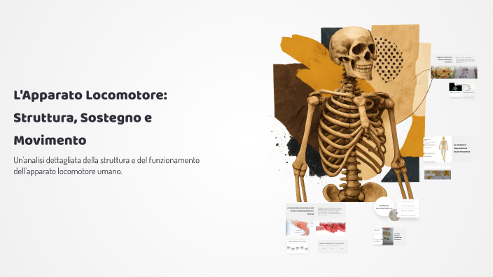 L'Apparato Locomotore: Struttura, Sostegno e Movimento by marwan ...
